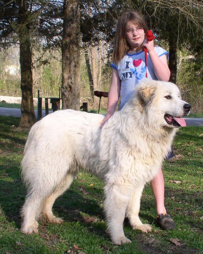 Little John's Photos