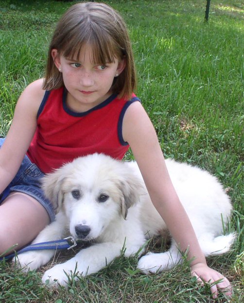 Little John's Photos